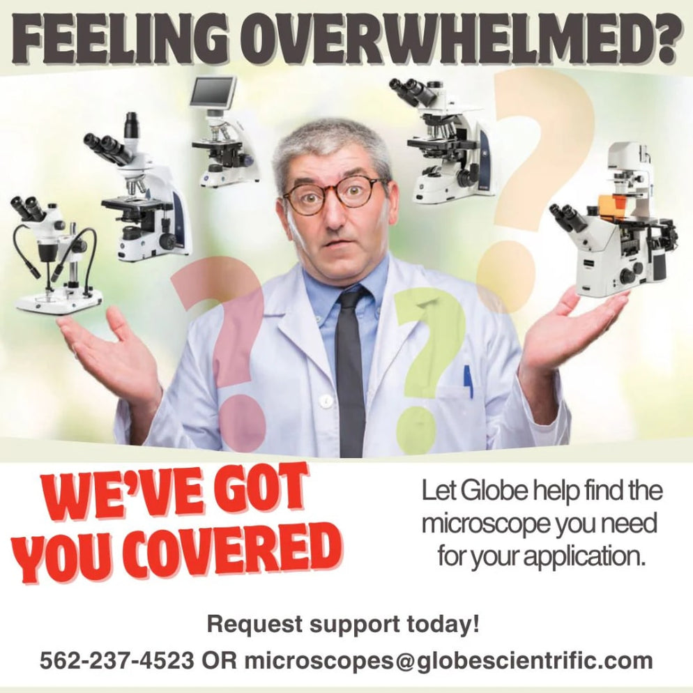 Globe Scientific Euromex EBS-1152-EPLI bScope Binocular Microscope ...