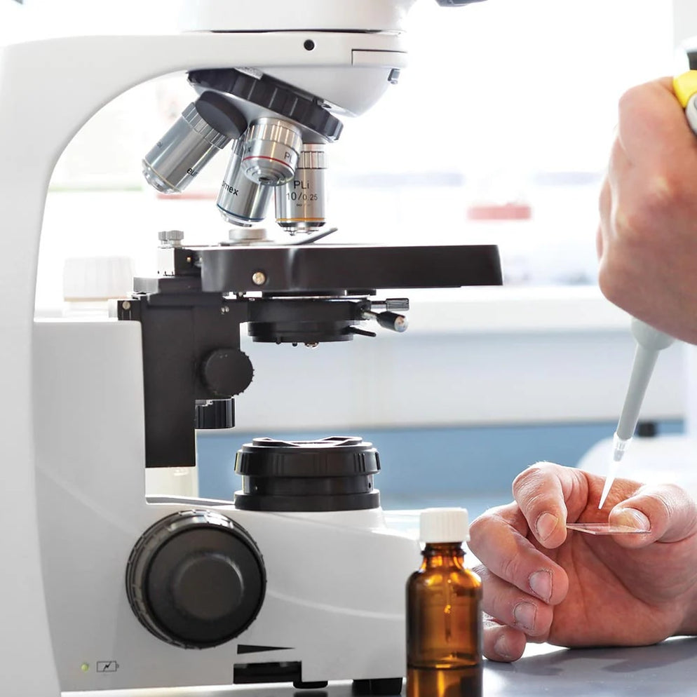 Globe Scientific Euromex EBS-1152-EPLI bScope Binocular Microscope ...